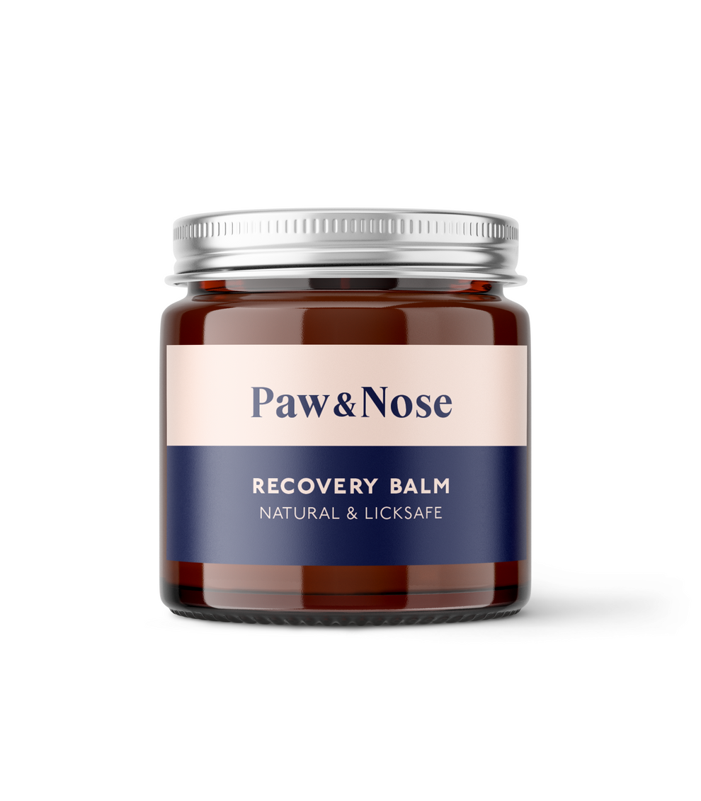 Roo's Paw & Nose Recovery Balm – Cub